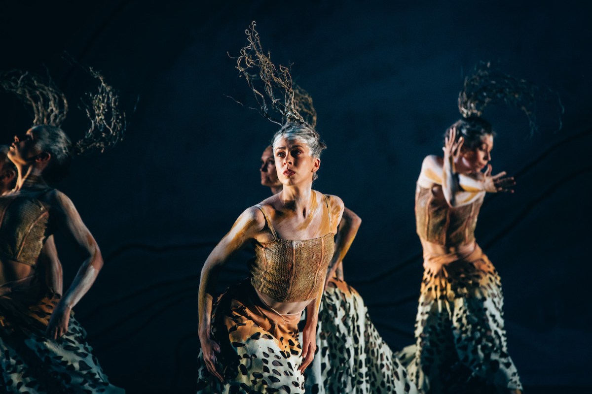 The Australian Ballet: DanceX review – Man in Chair