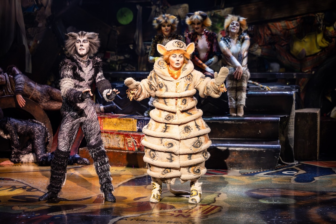 Cats review [Melbourne 2025] – Man in Chair